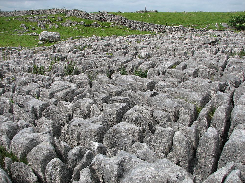Limestone Pavement Conservation Geology Picture Gallery