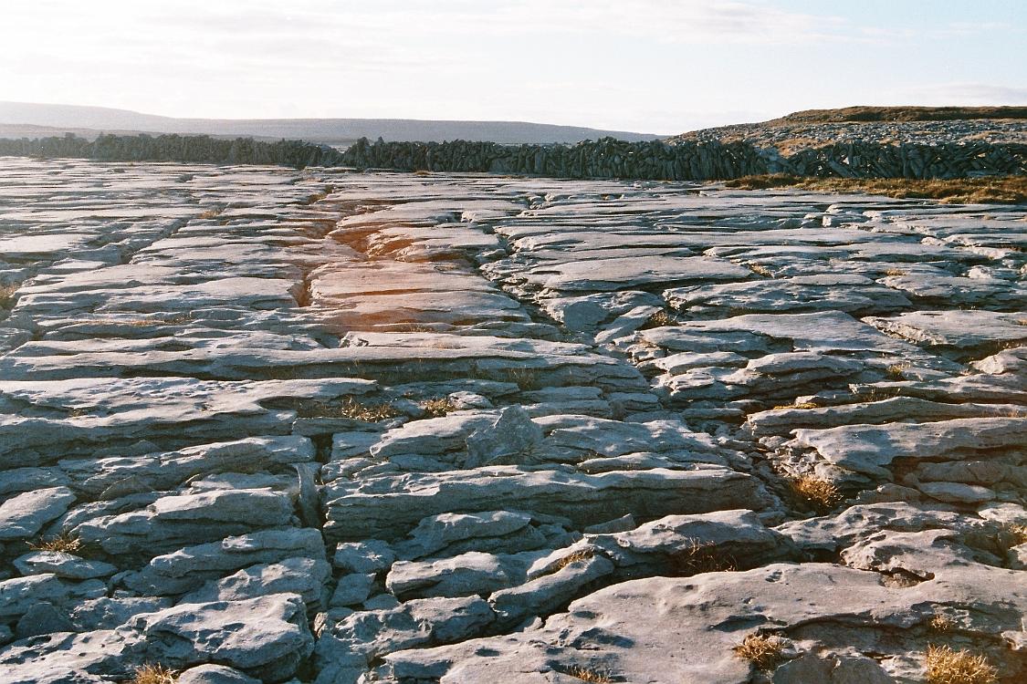 Limestone Pavement Conservation Geology Picture Gallery