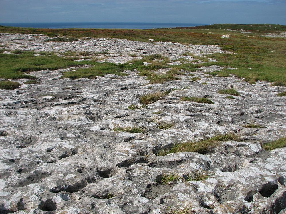 Limestone Pavement Conservation Geology Picture Gallery