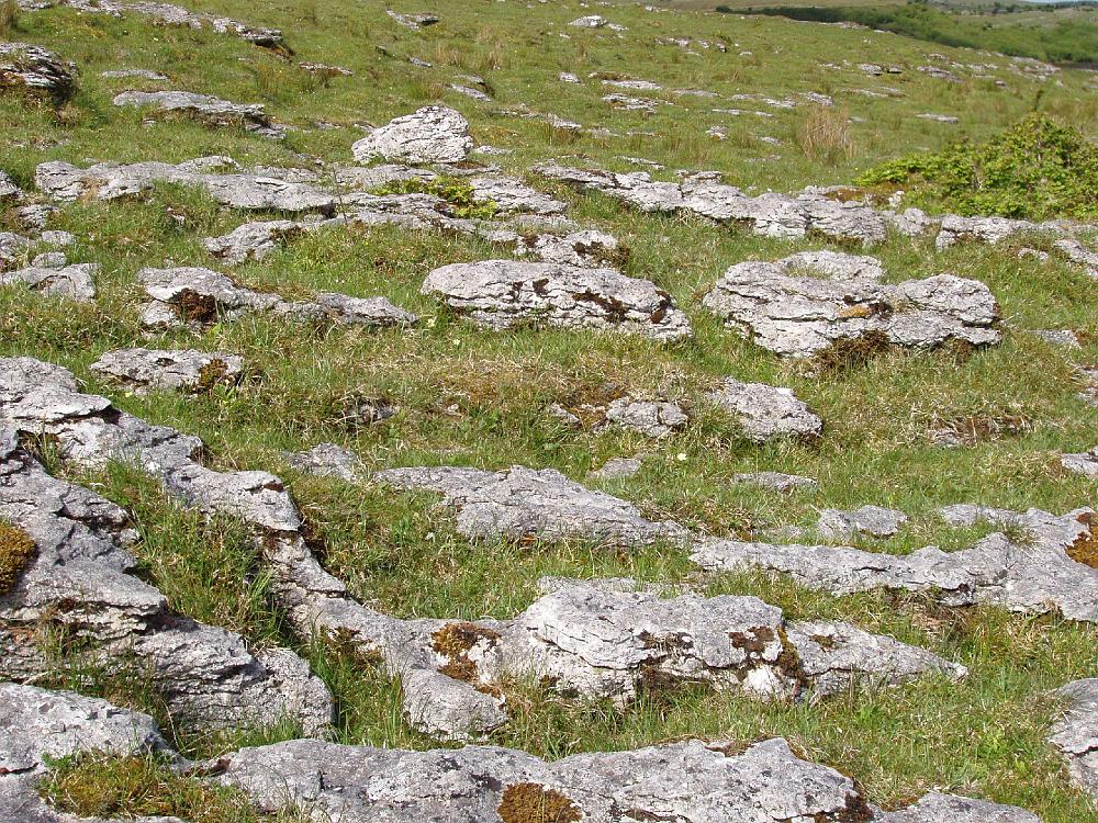 Limestone Pavement Conservation Geology Picture Gallery