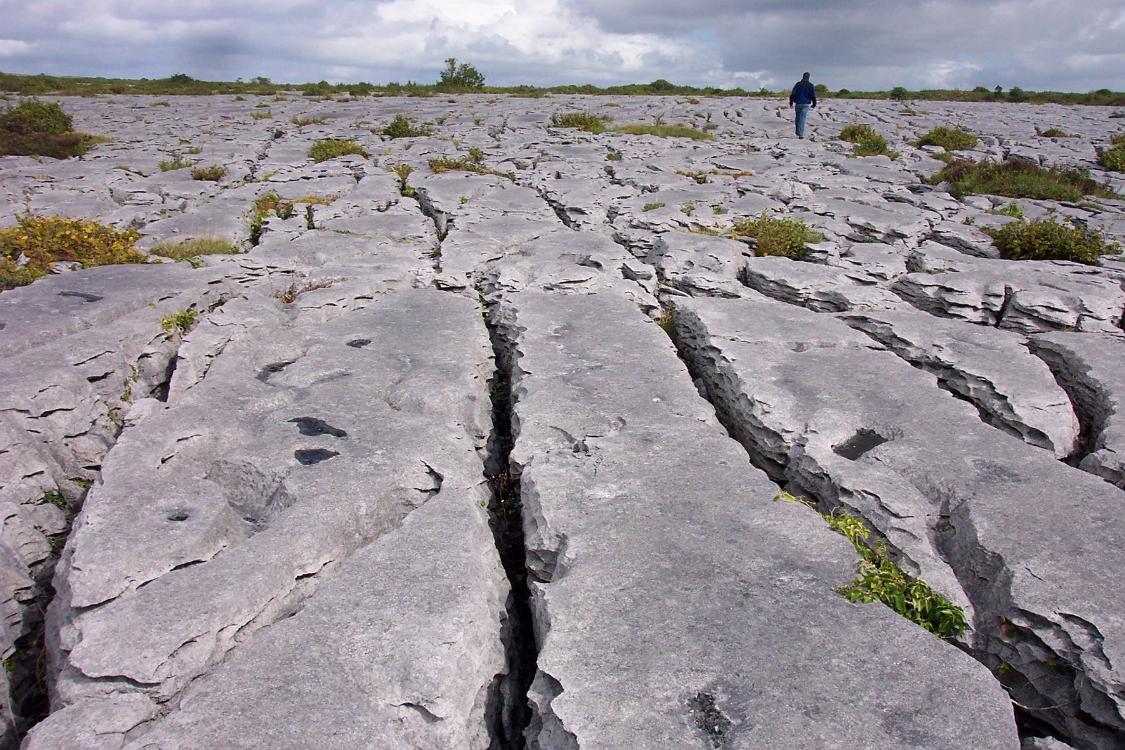 Limestone Pavement Conservation Geology Picture Gallery